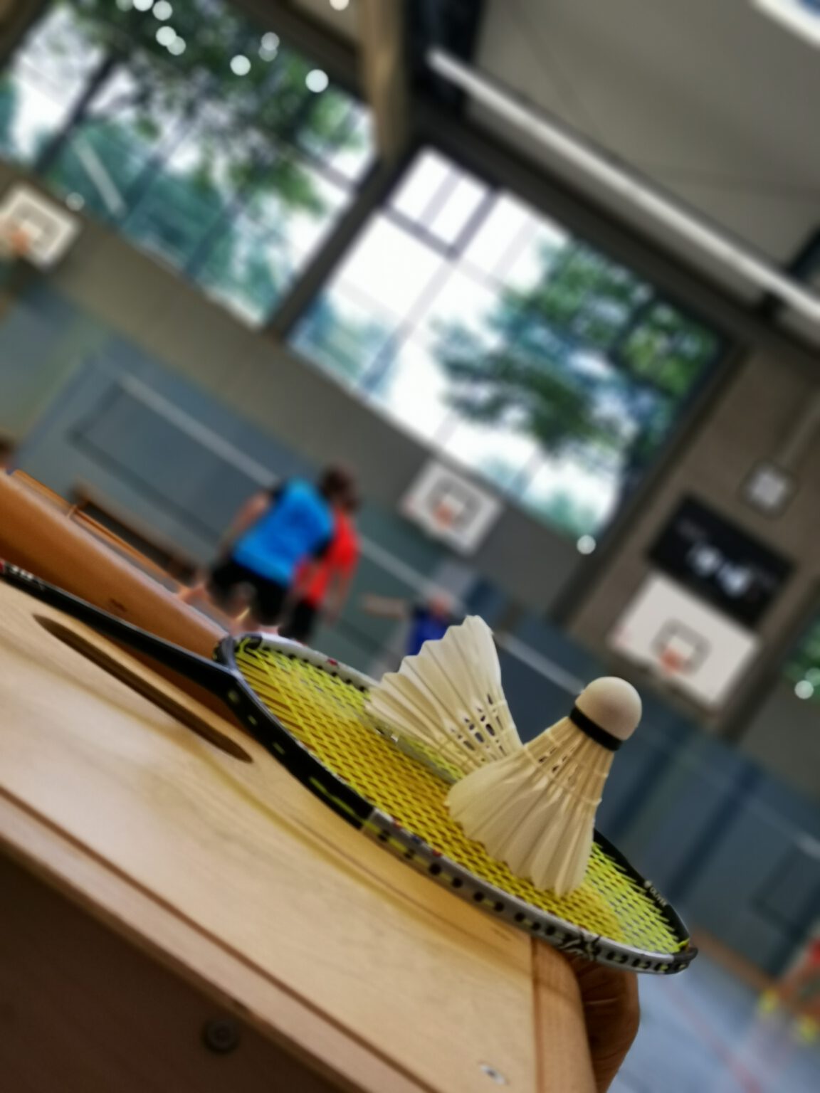 3. Visions-Cup 2023 – PSV Herford Badminton